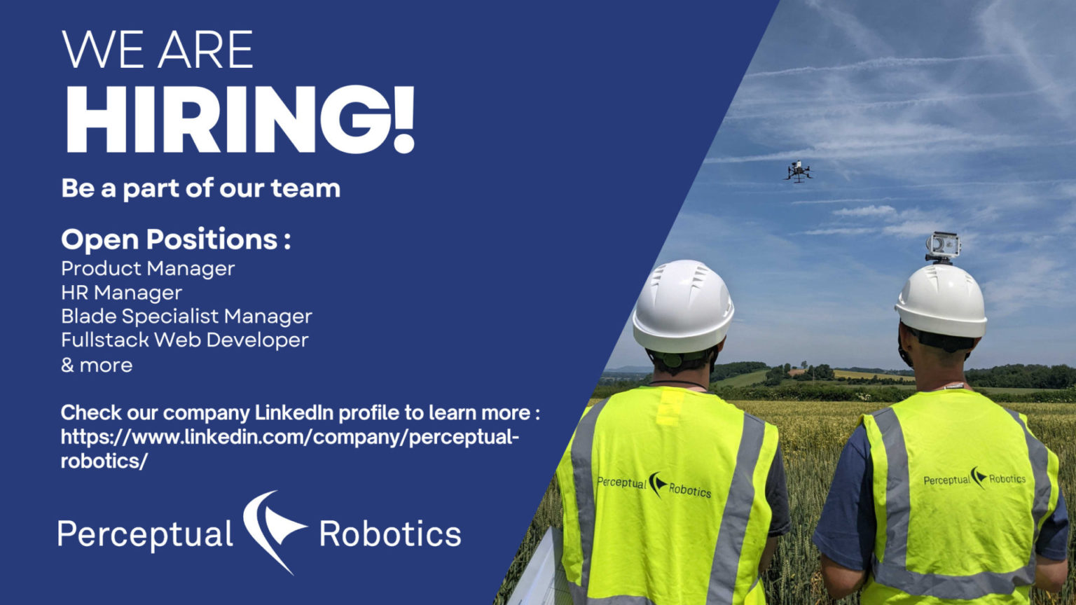 We are hiring! - Perceptual Robotics